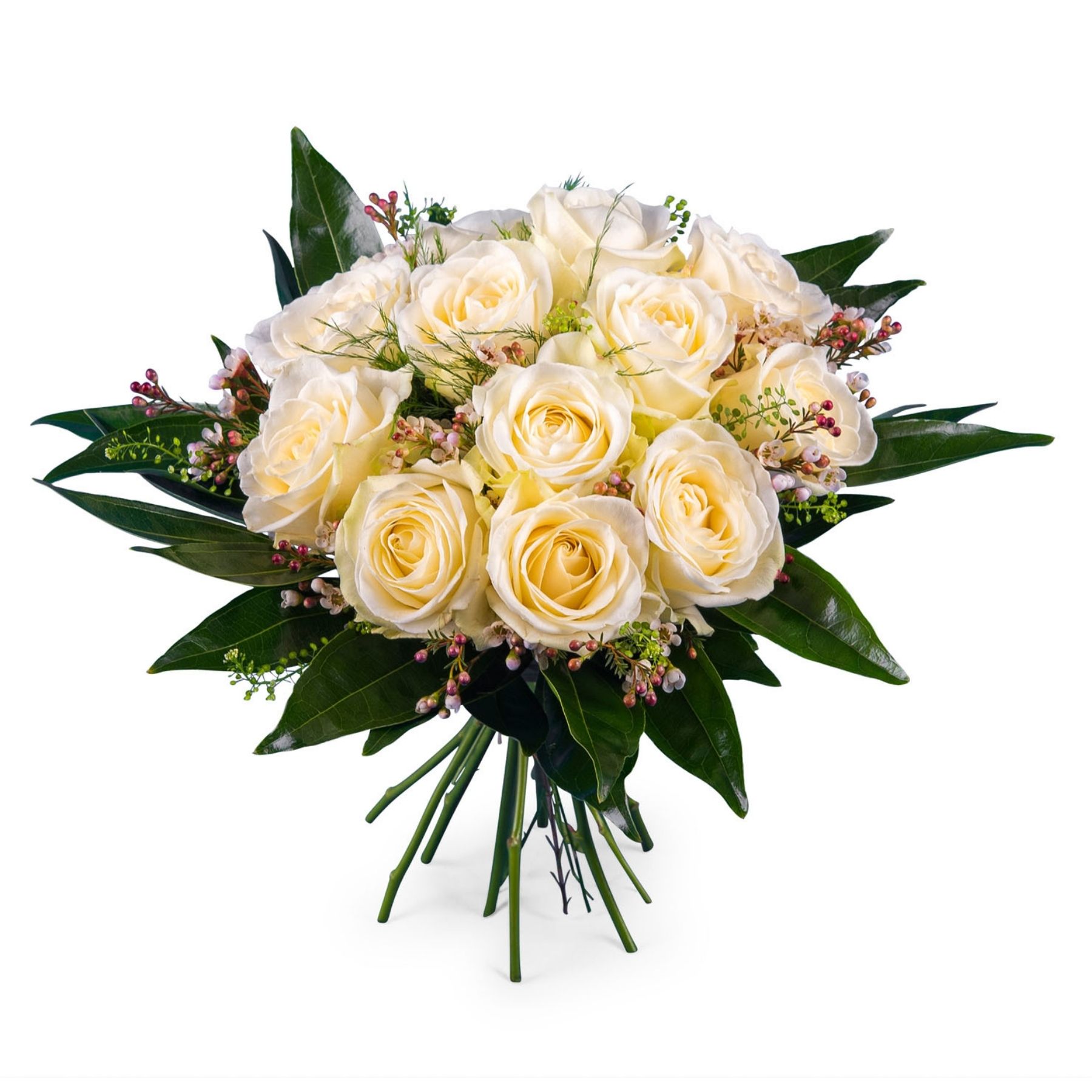 Dozen Roses Wrapped | Canadiana Flowers