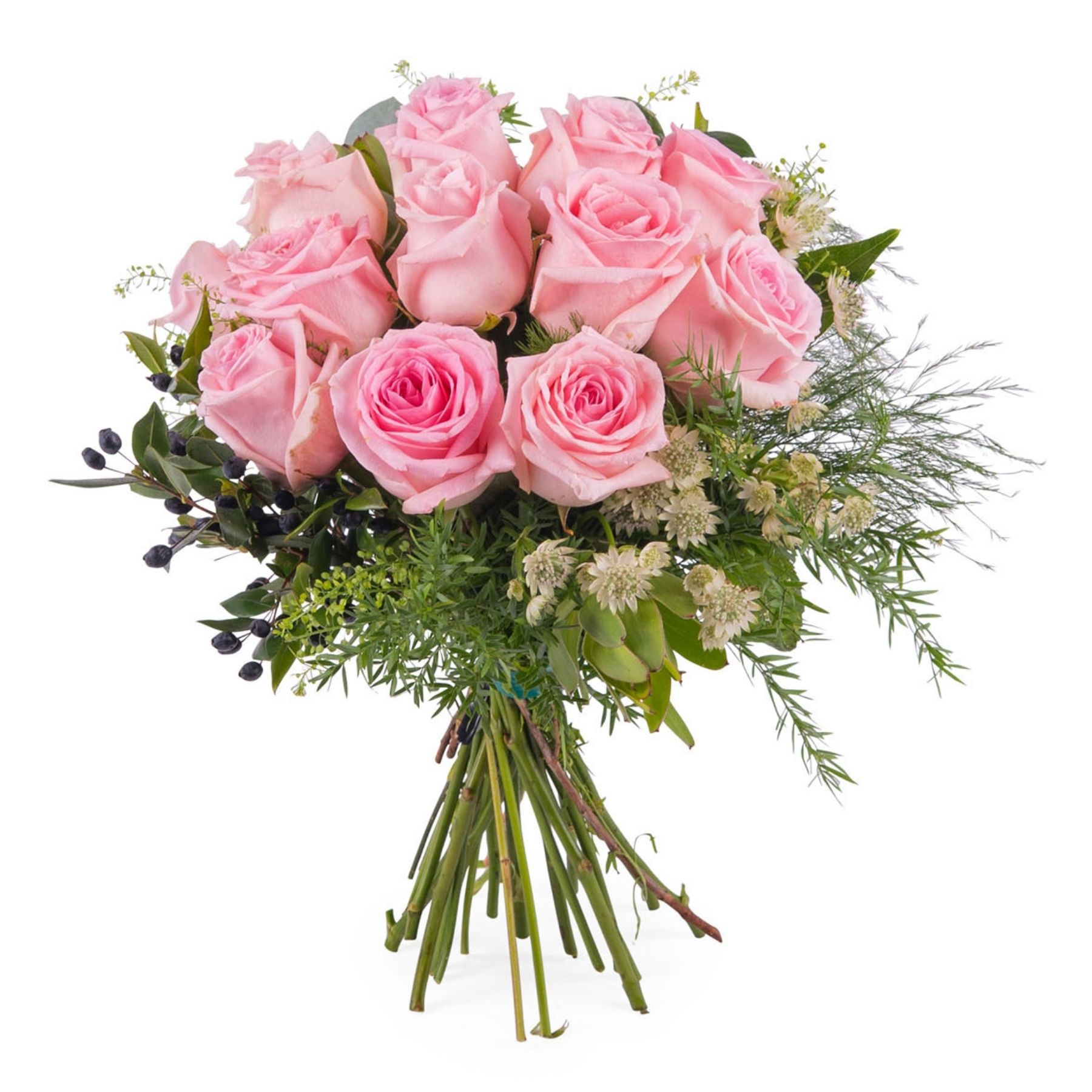 Dozen Roses Wrapped | Canadiana Flowers