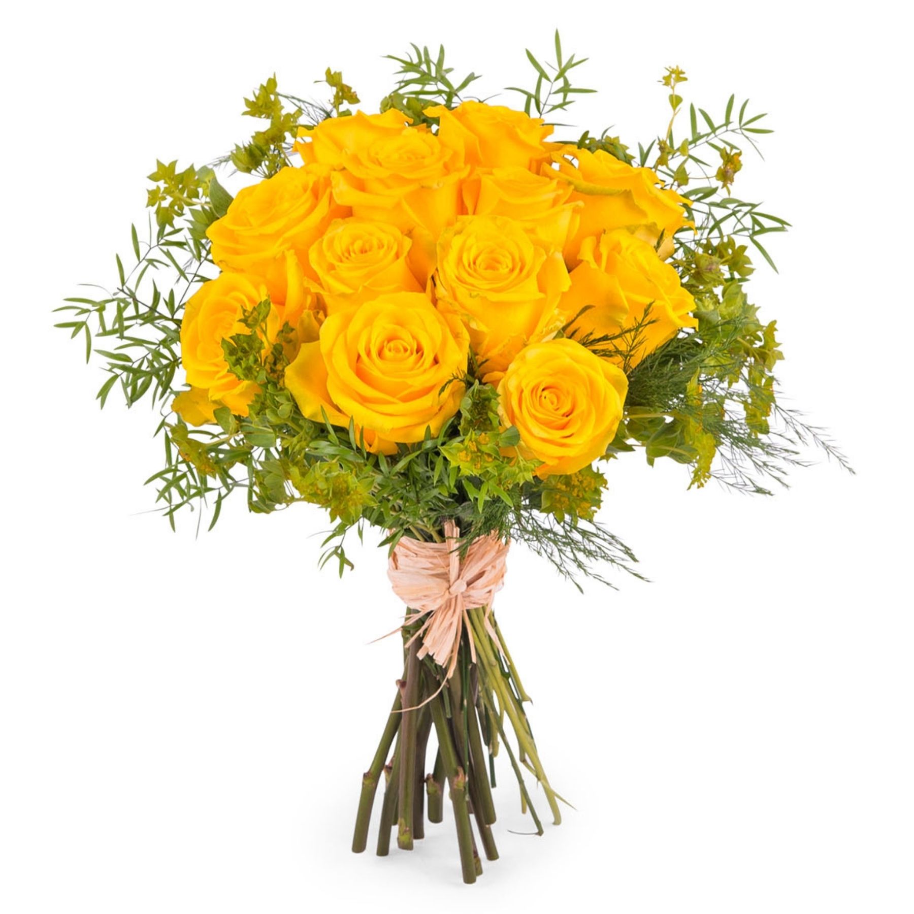 Dozen Roses Wrapped | Canadiana Flowers